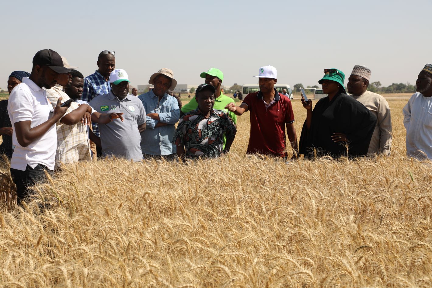 TAAT rallies for A Wheat Revolution in Nigeria – Taat-Africa