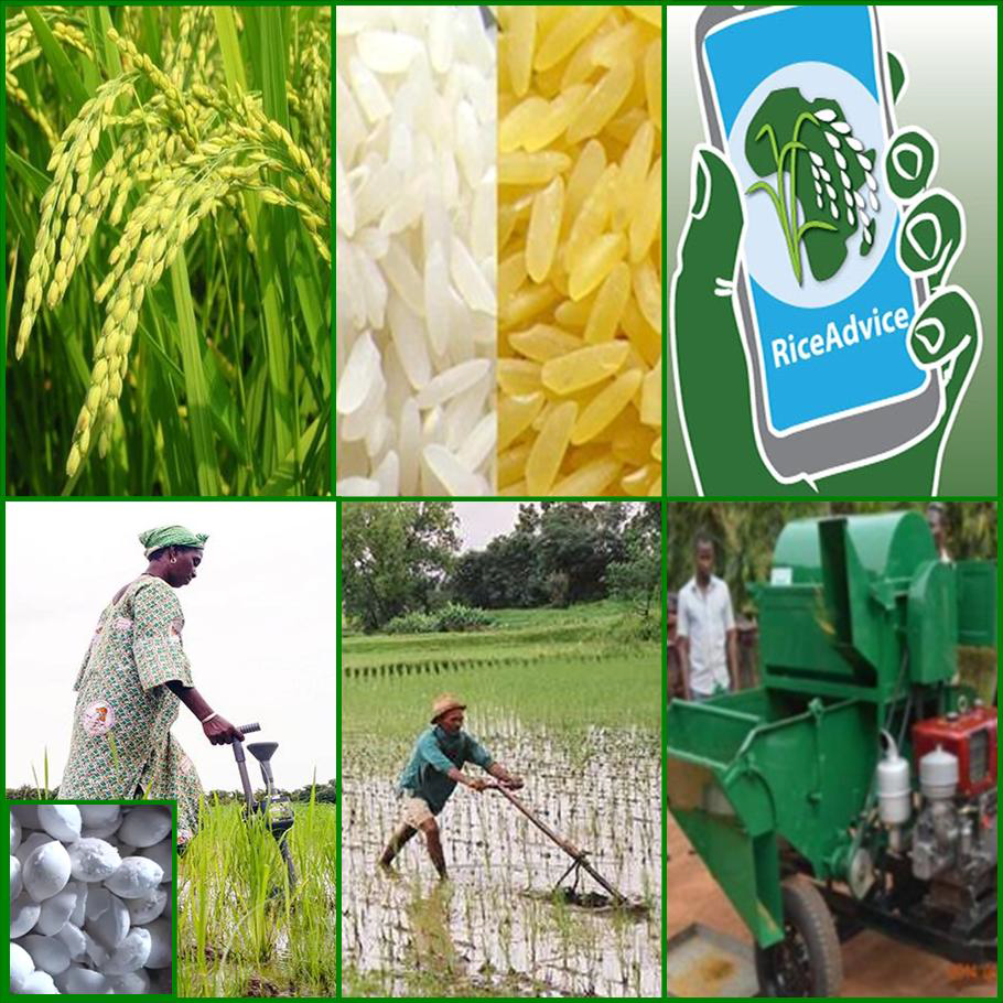 The Rice Compact’s Technology Toolkit – Taat-Africa