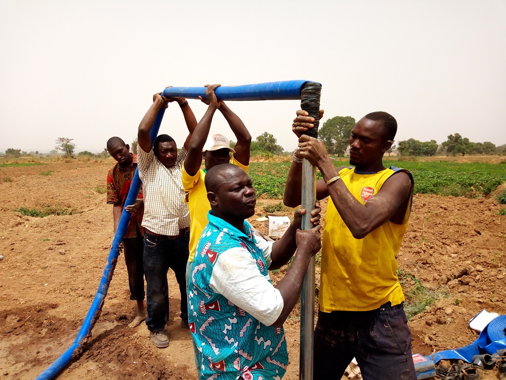TAAT’s new irrigation technologies intensify rice production in Mali ...