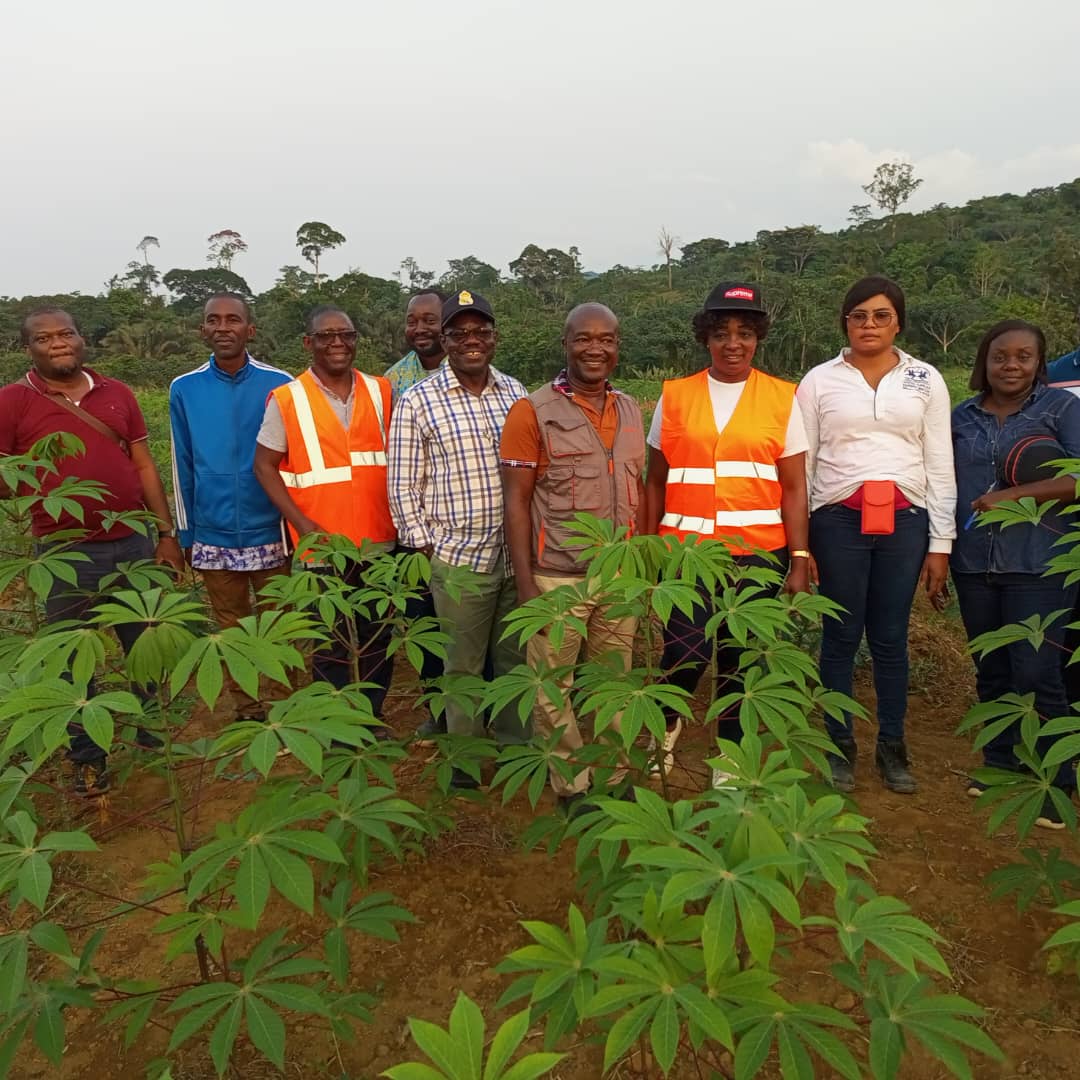 Gabon: AfDB supervision mission hails TAAT’s technology delivery model – Taat-Africa