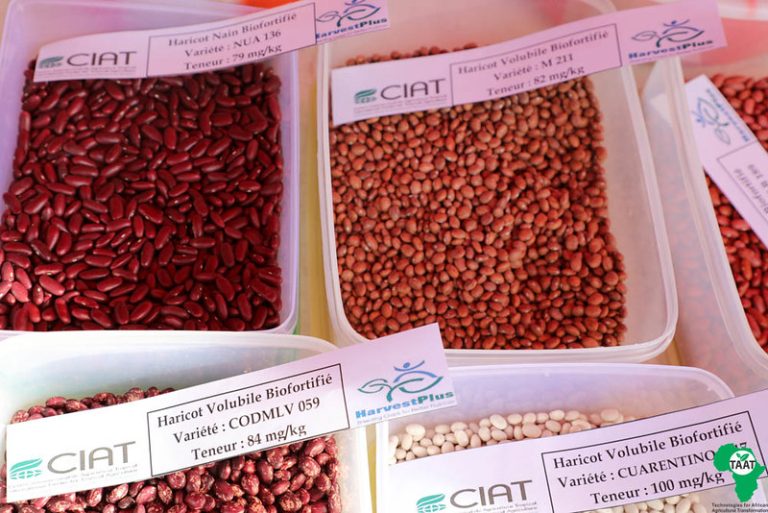 TAAT and VACS: Driving African food systems transformation with climate ...