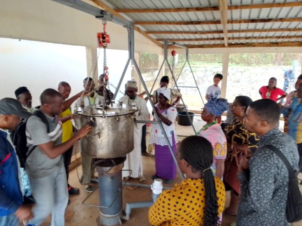 CAMEROON: TAAT targets self-sufficiency in Rice – Taat-Africa